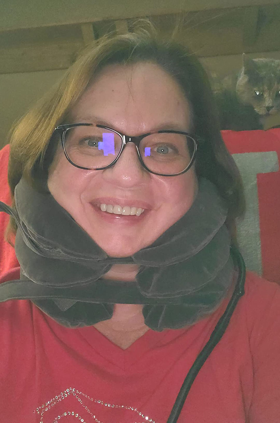 Niskatuki™ – Asipu